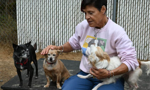 Building a Bond With Your Newly Adopted Dog | Oregon Coast Humane Society